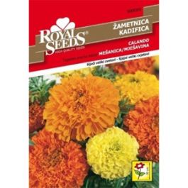 Kadifica niska Calando Royal Seeds PERO Zenica d.o.o.